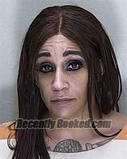 Recent Booking / Mugshot for SHAUNA N MCGAHA in Marion County, Florida