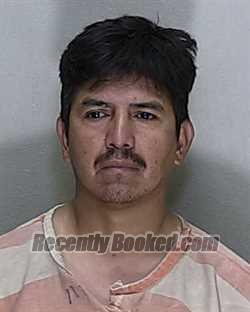 Recent Booking / Mugshot for AGUSTIN GUZMAN-ROCHA in Marion County, Florida