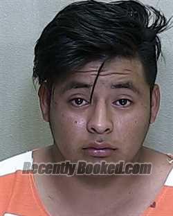 Recent Booking / Mugshot for ERIC DANIEL GONZALEZ LOPEZ in Marion ...