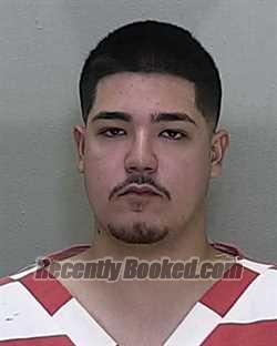 Recent Booking / Mugshot for CHRISTOPHER ALVAREZ in Marion County, Florida
