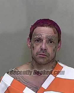 Recent Booking / Mugshot for MARTIN SMITLEY in Marion County, Florida