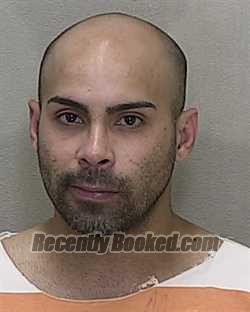 Recent Booking / Mugshot for LUIS DANIEL ORTIZ-REYES in Marion County, Florida