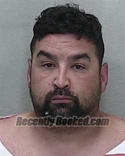 Recent Booking / Mugshot for DANNY ANZARDO in Marion County, Florida