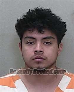 Recent Booking / Mugshot for DELMER ANAEL ESCOBAR ORTEGA in Marion ...