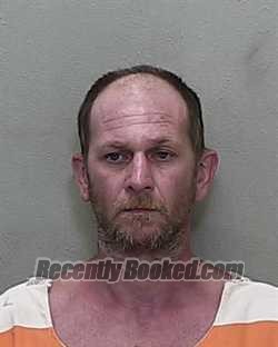 Recent Booking / Mugshot for MIKAEL THOMAS HAY in Marion County, Florida