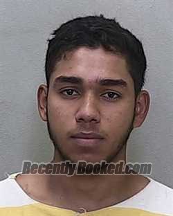 Recent Booking / Mugshot for JOHAN J GONZALEZ-CASTILLO in Marion County, Florida
