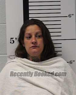 Recent Booking / Mugshot for HANNAH ALYSE LEPELLEY in Rockwall County ...