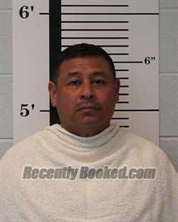 Recent Booking / Mugshot for Angel Cardona in Rockwall County, Texas