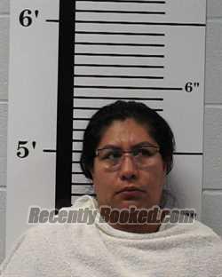 Recent Booking / Mugshot for Laura Elena Rojas Reyes in Rockwall County ...
