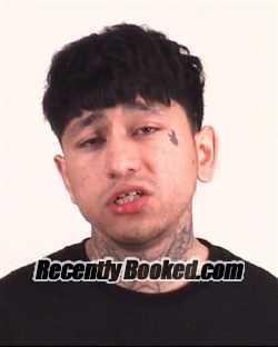 Recent Booking / Mugshot for ANGEL SCHAFFER in Tarrant County, Texas