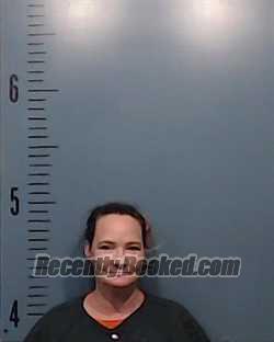 Recent Booking / Mugshot for Sandra Michelle Pierce in Taylor County, Texas