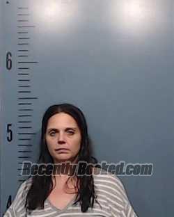 Recent Booking / Mugshot for Renee Lynn Bean in Taylor County, Texas