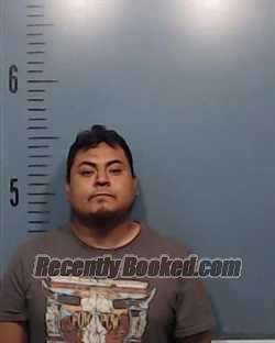 Recent Booking / Mugshot for Hector Alejandro Martinez-Castillo in ...