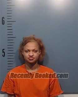 Recent Booking / Mugshot for Brianna Michelle Cherry in Taylor County ...