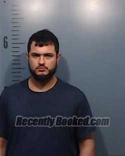 Recent Booking / Mugshot for Hector Adan Guevara-Garcia in Taylor ...