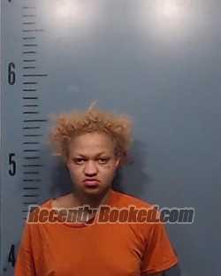 Recent Booking / Mugshot for Brianna Michelle Cherry in Taylor County ...