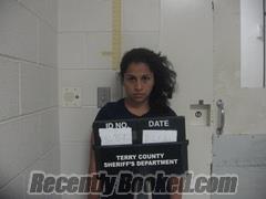 Recent Booking / Mugshot for KRISTIN RAMIREZ in Terry County, Texas
