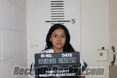 Recent Booking / Mugshot for MARIA LICON in Terry County, Texas