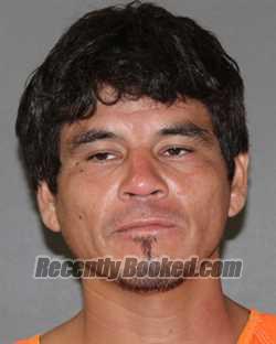 FREDI URISTA Arrest Record & Booking Info – Titus County, Texas ...