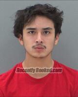 Recent Booking / Mugshot for ANGEL PALAFOX in Tom Green County, Texas