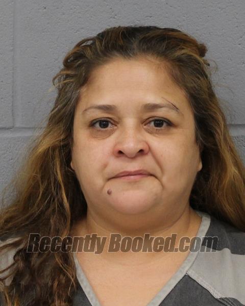 Recent Booking / Mugshot for CLAUDIA HINSON in Travis County, Texas