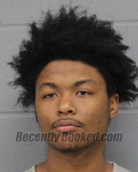 Recent Booking / Mugshot for GREYSON TURNER in Travis County, Texas