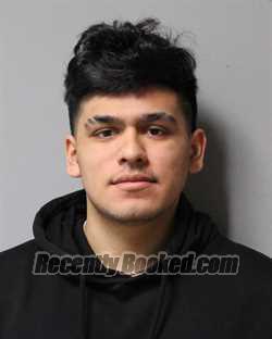Recent Booking / Mugshot for JOSE TORRES in Travis County, Texas