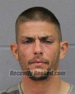Recent Booking / Mugshot for MICHAEL HOPPONEN in Travis County, Texas