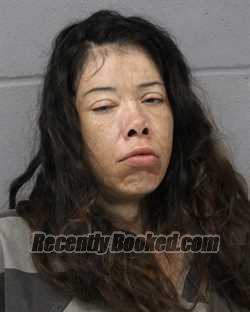 Recent Booking / Mugshot for LUISA HERNANDEZ in Travis County, Texas