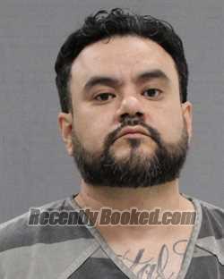 Recent Booking / Mugshot for ARIEL NAVA in Travis County, Texas