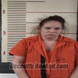 Recent Booking / Mugshot for TAREN ALISE JOHNSON in Van Zandt County, Texas