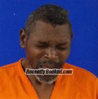 Recent Booking / Mugshot for KIM LAMAR NELSON in Van Zandt County, Texas