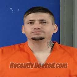 Recent Booking / Mugshot for MARK ANDREW SIMS in Van Zandt County, Texas