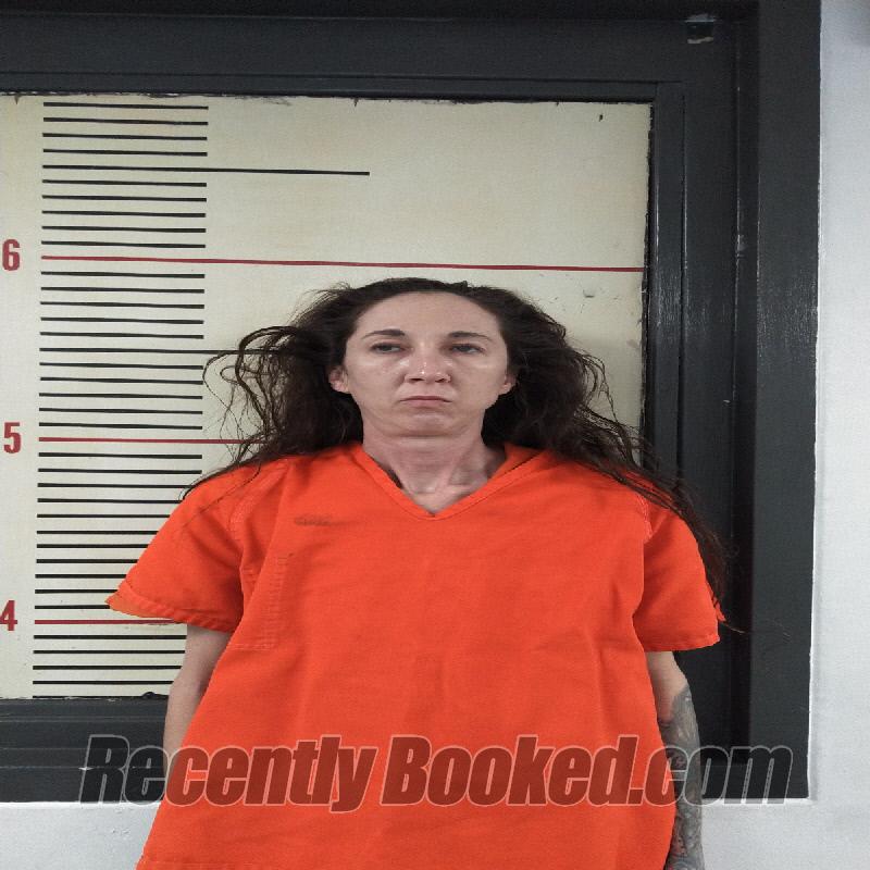 Recent Booking / Mugshot for RACHELLE RENEE SHELTON in Van Zandt County ...