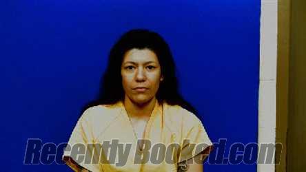 Recent Booking / Mugshot for Stacey Nicole Cavazos in Victoria County ...