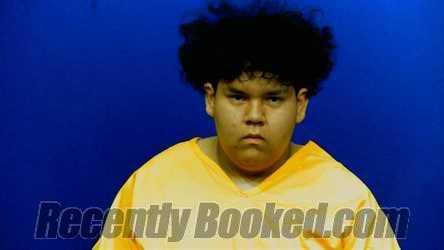 Recent Booking / Mugshot for Tim Cano in Victoria County, Texas