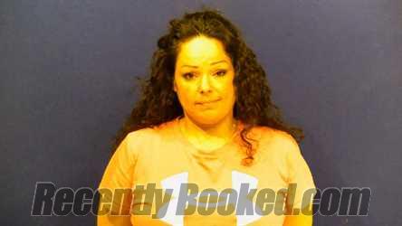 Recent Booking / Mugshot for Michelle Meza in Victoria County, Texas