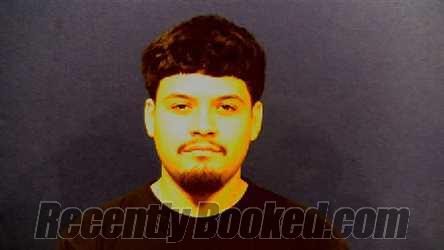 Recent Booking / Mugshot for Lorenzo Adrian Olguin in Victoria County ...