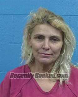 Recent Booking / Mugshot for Tracy Lynn Canalichio in Williamson County ...