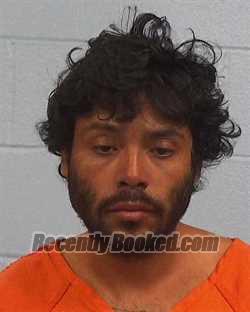Recent Booking / Mugshot for Rene Martinez-Badillo in Williamson County ...