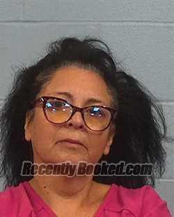 Recent Booking / Mugshot for Elizabeth Alvarez Escalona in Williamson ...