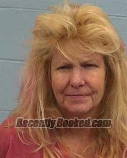 Recent Booking / Mugshot for Jennifer Elizabeth Frechette in Williamson ...