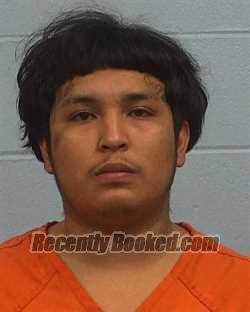 Recent Booking / Mugshot for Melvin Alexis Andrade in Williamson County ...