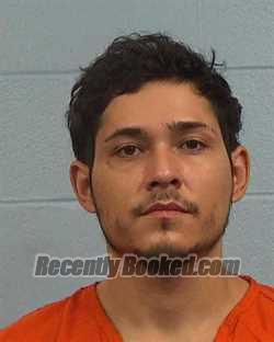Recent Booking / Mugshot for Fernando Brandon Arellano in Williamson ...