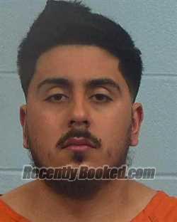 Recent Booking / Mugshot for Eduardo Anthony Aviles in Williamson ...