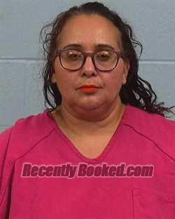 Recent Booking / Mugshot for Erica Meier in Williamson County, Texas