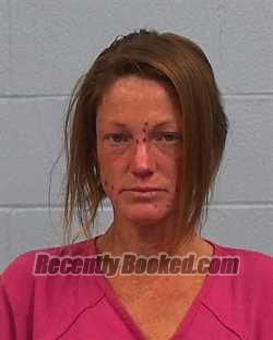 Recent Booking / Mugshot for Christine Morgan Small in Williamson ...