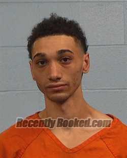 Recent Booking / Mugshot for Gabriel Giani Bustamante in Williamson ...