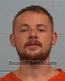 Recent Booking / Mugshot for Jamie Shofner in Williamson County, Texas