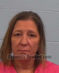 Recent Booking / Mugshot for Heidi Renee Small in Williamson County, Texas